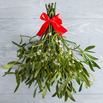 Christmas Wreaths & Mistletoe - Christmas Store