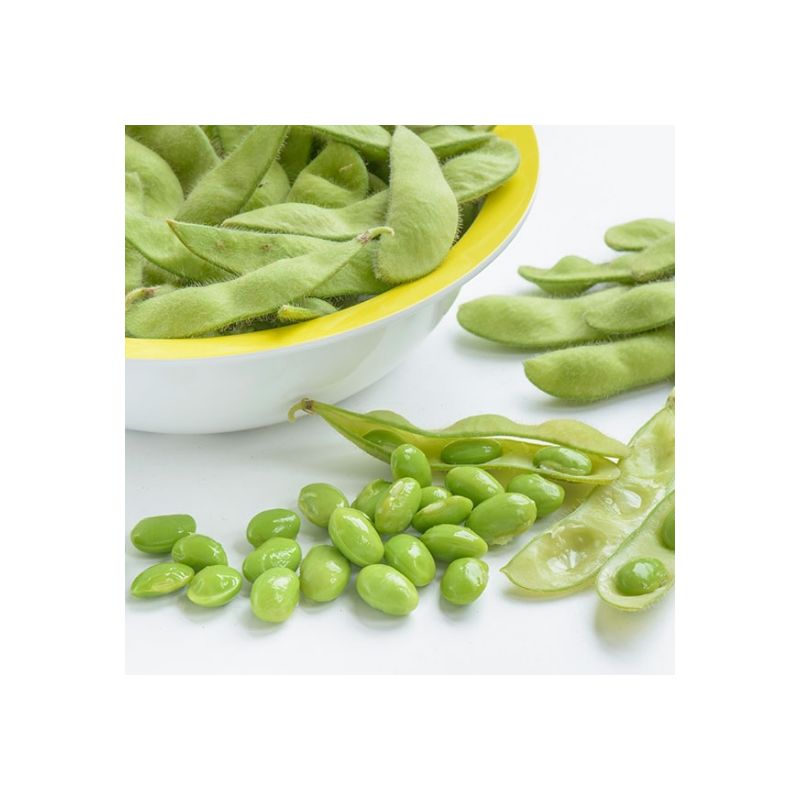 Edamame Plant Green Shell