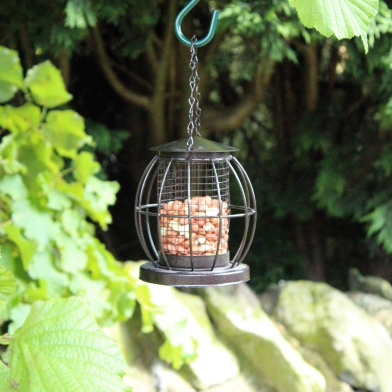 Mini Lantern Nut Feeder