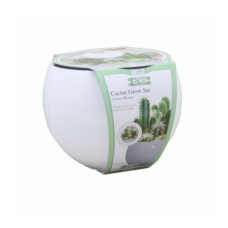 Cactus Grow Set - 6 Variety Mix - Perfect Gift!
