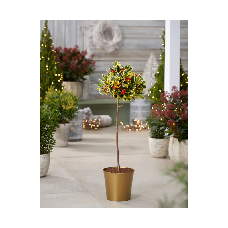 Medium Gold Plastic Plant Cover Pot - 12.5cm diameter