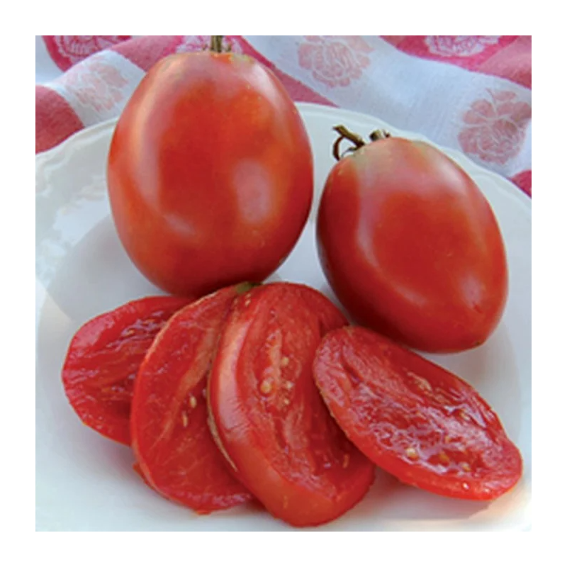 Tomato Plant 'Amish Paste'