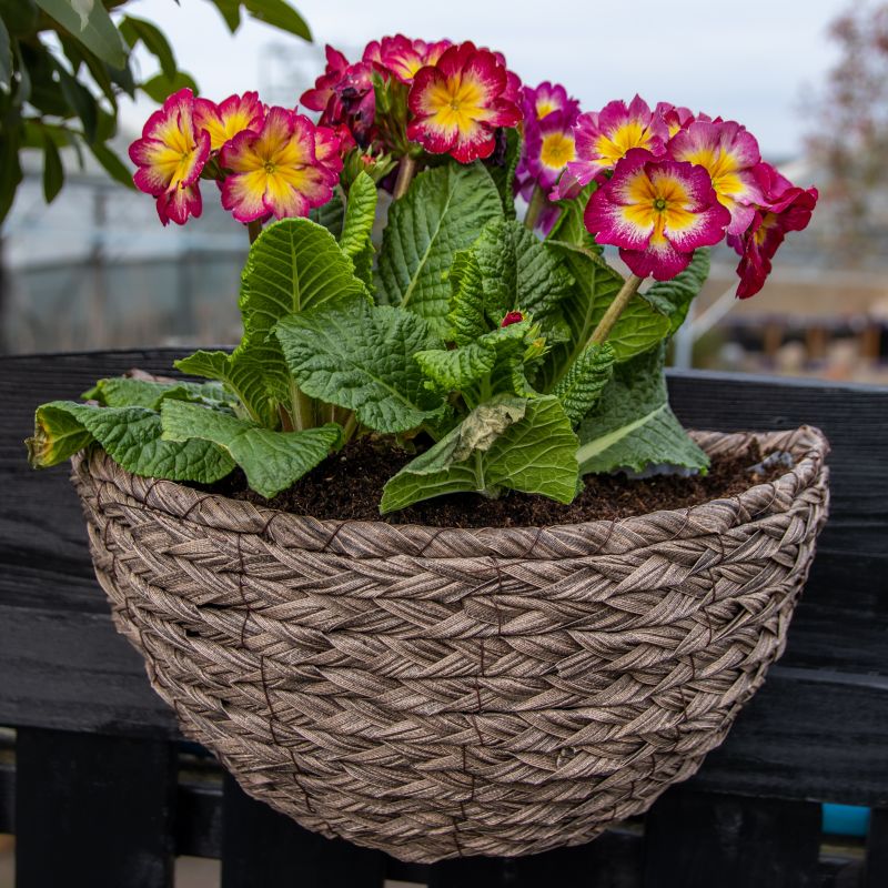 Hanging Rustic Wall Basket - All Weather Brown (35cm)