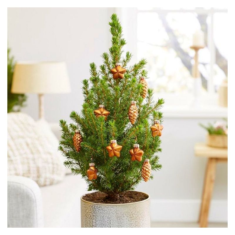 Contemporary Christmas Tree circa 40cm tall