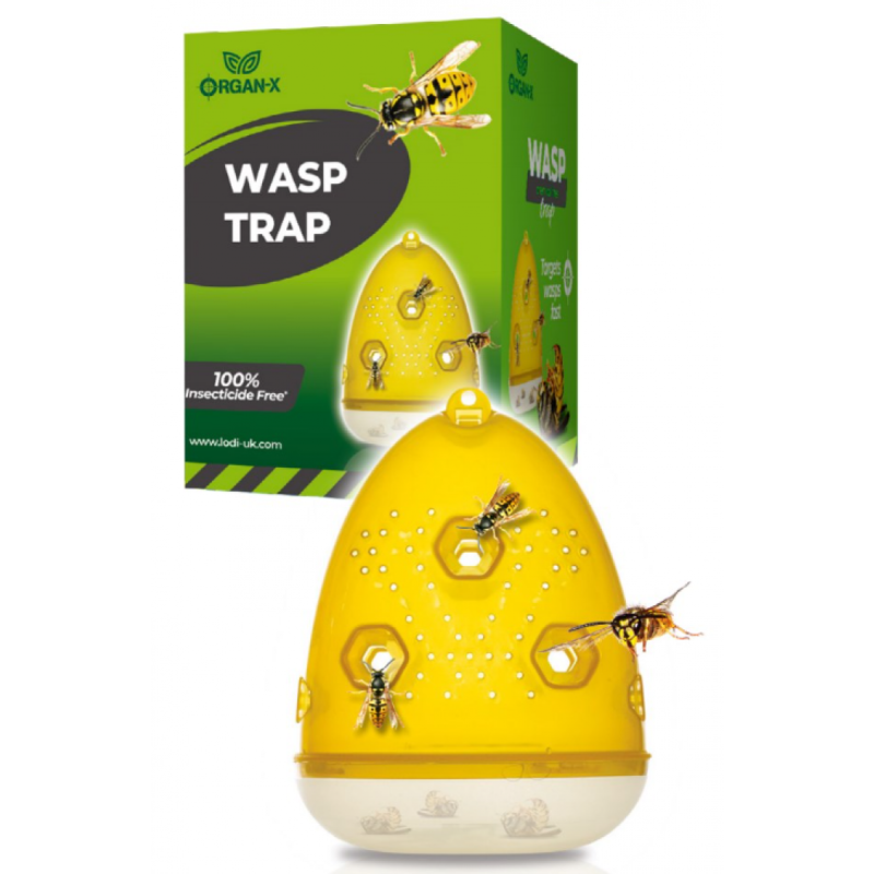 Organ-X Wasp Trap
