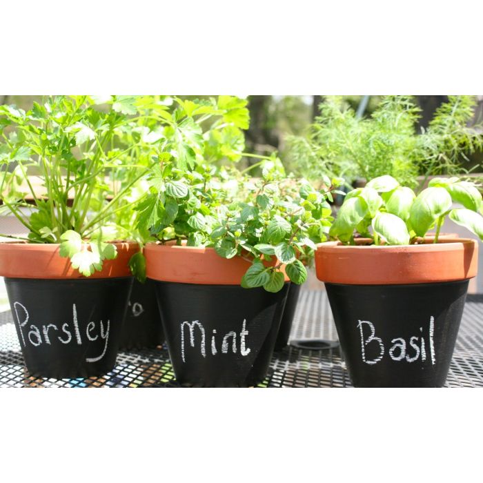 Trio Terracotta Chalk Pots - Herb Growing Gift Set