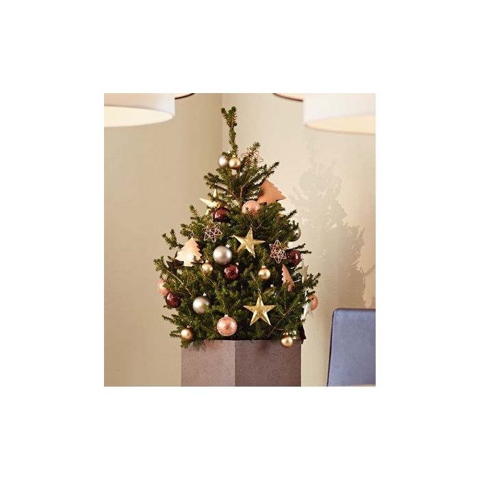 Fresh 'Little Santa' Christmas Tree - 100cm Potted Spruce