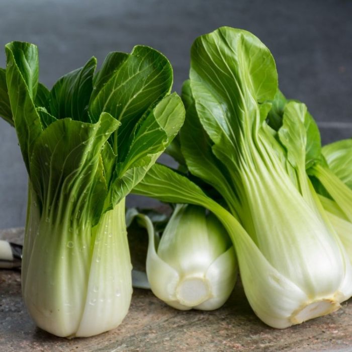 Pak Choi 'Green Revolution'- Pack of TWELVE Plants