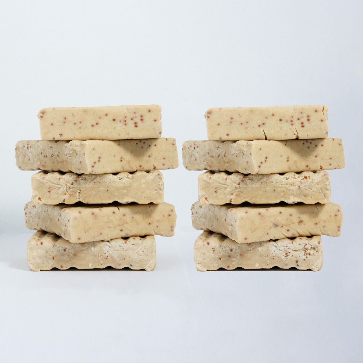 High-Energy Suet Blocks for Birds with Mealworms - Pack of 10