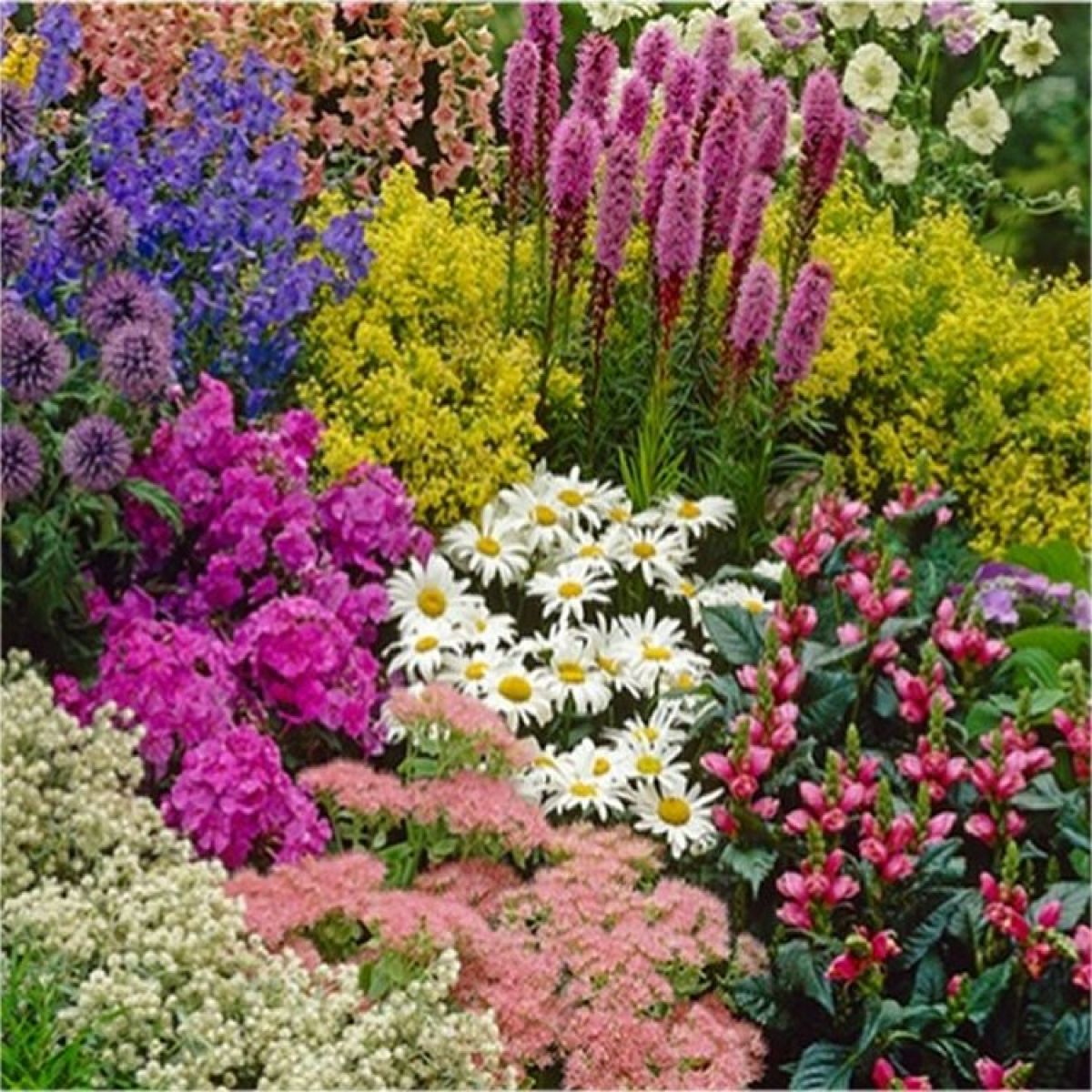 English Perennial Border English Cottage Garden Border | Garden On A