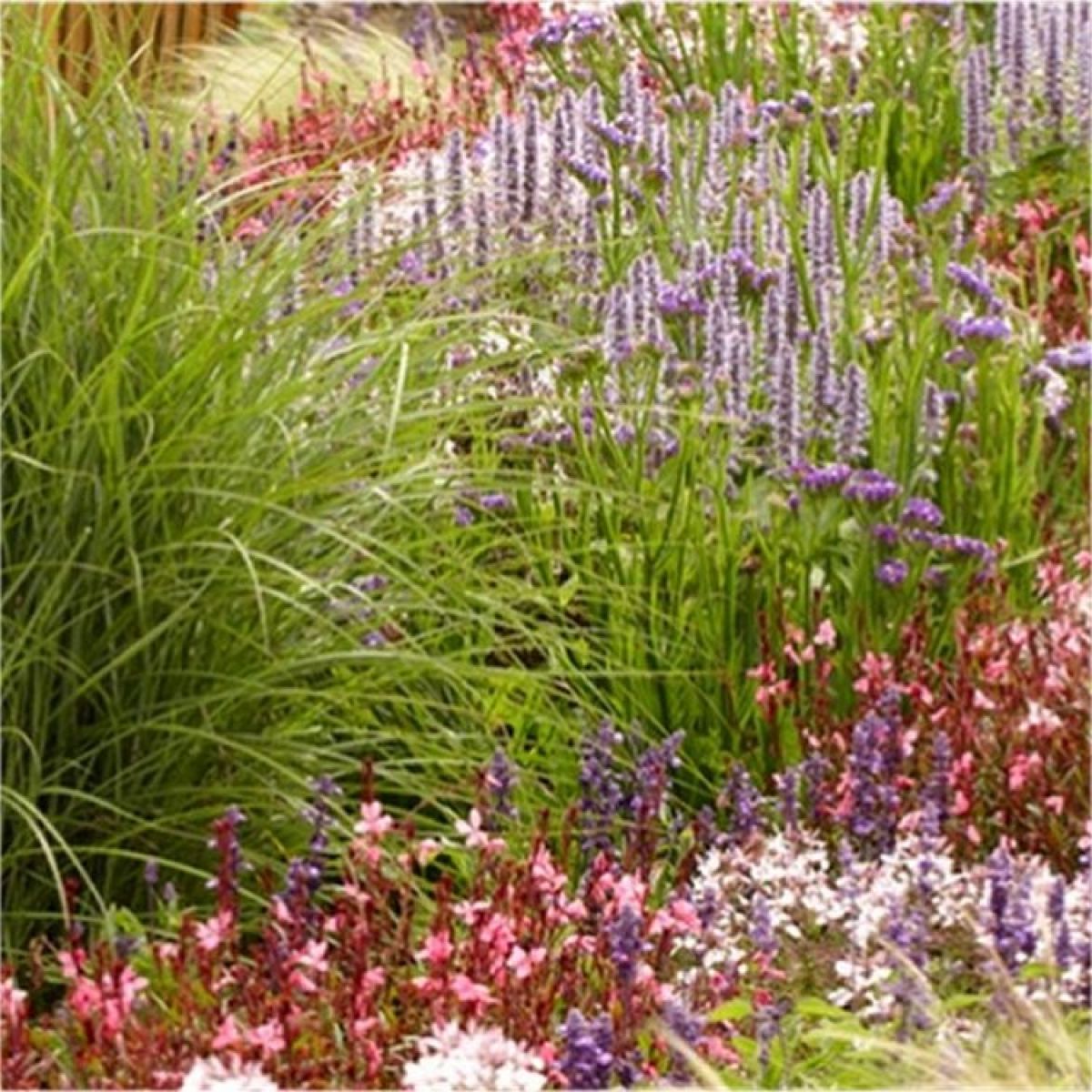 Unusual Perennial Gardens Garden Design's New Perennial Movement