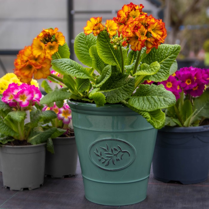 Green Olive Planter - Medium (23cm)