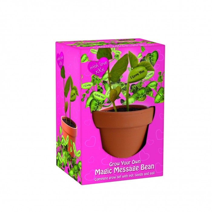 SPECIAL DEAL - Grow Your Own Magic Message Bean - Perfect Gift!