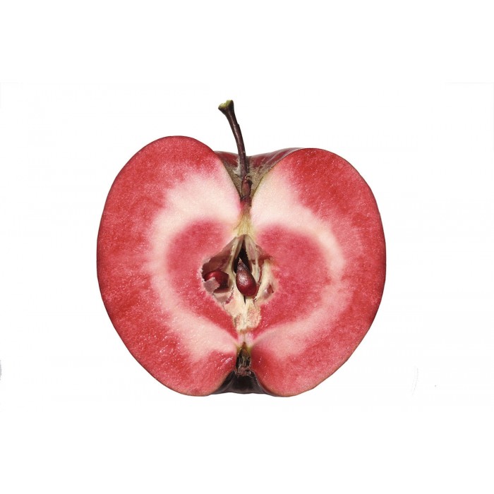 Apple Tree - Redlove® Era - 150cm Fruit Tree - Malus domestica Red Love