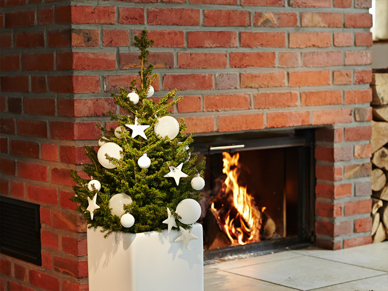 Fresh 'Little Santa' Christmas Tree - 100cm Potted Spruce