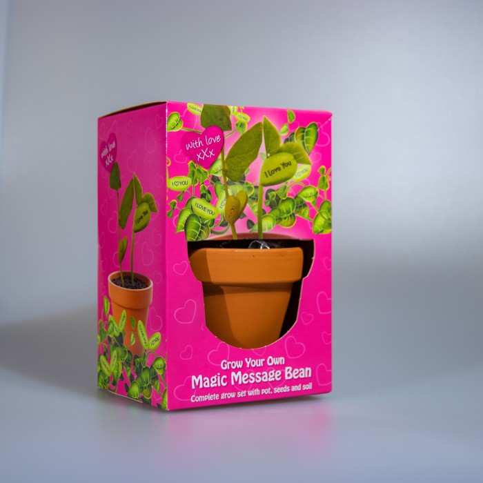 SPECIAL DEAL - Grow Your Own Magic Message Bean - Perfect Gift!