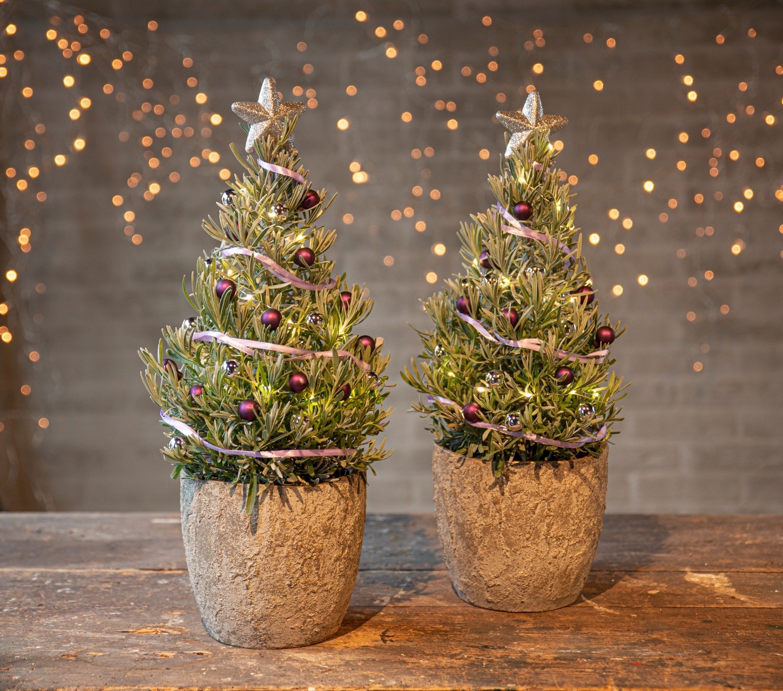 Pair of Lavender Christmas Trees