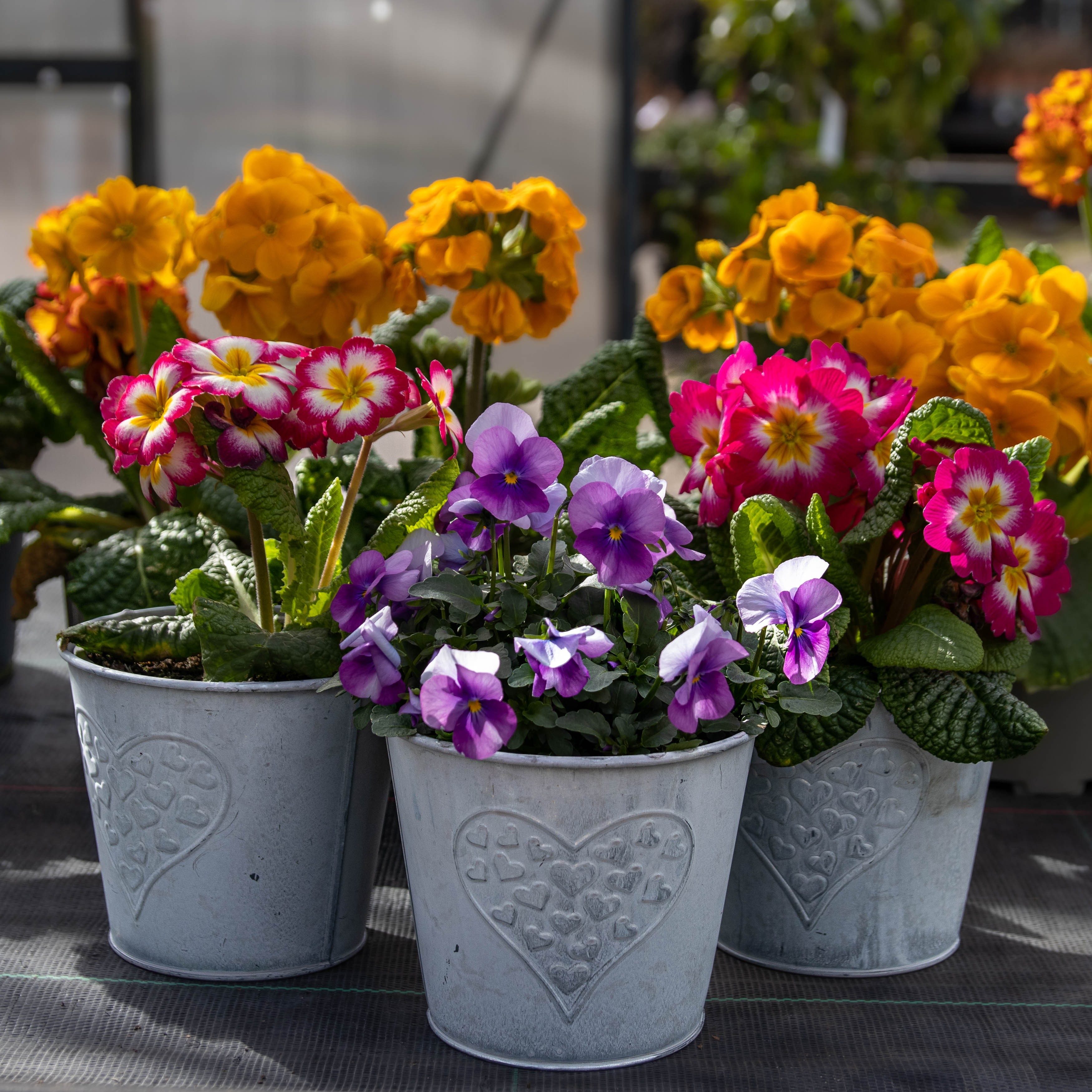 Heart Zinc Pot - Pack Of Three - Medium (14cm)