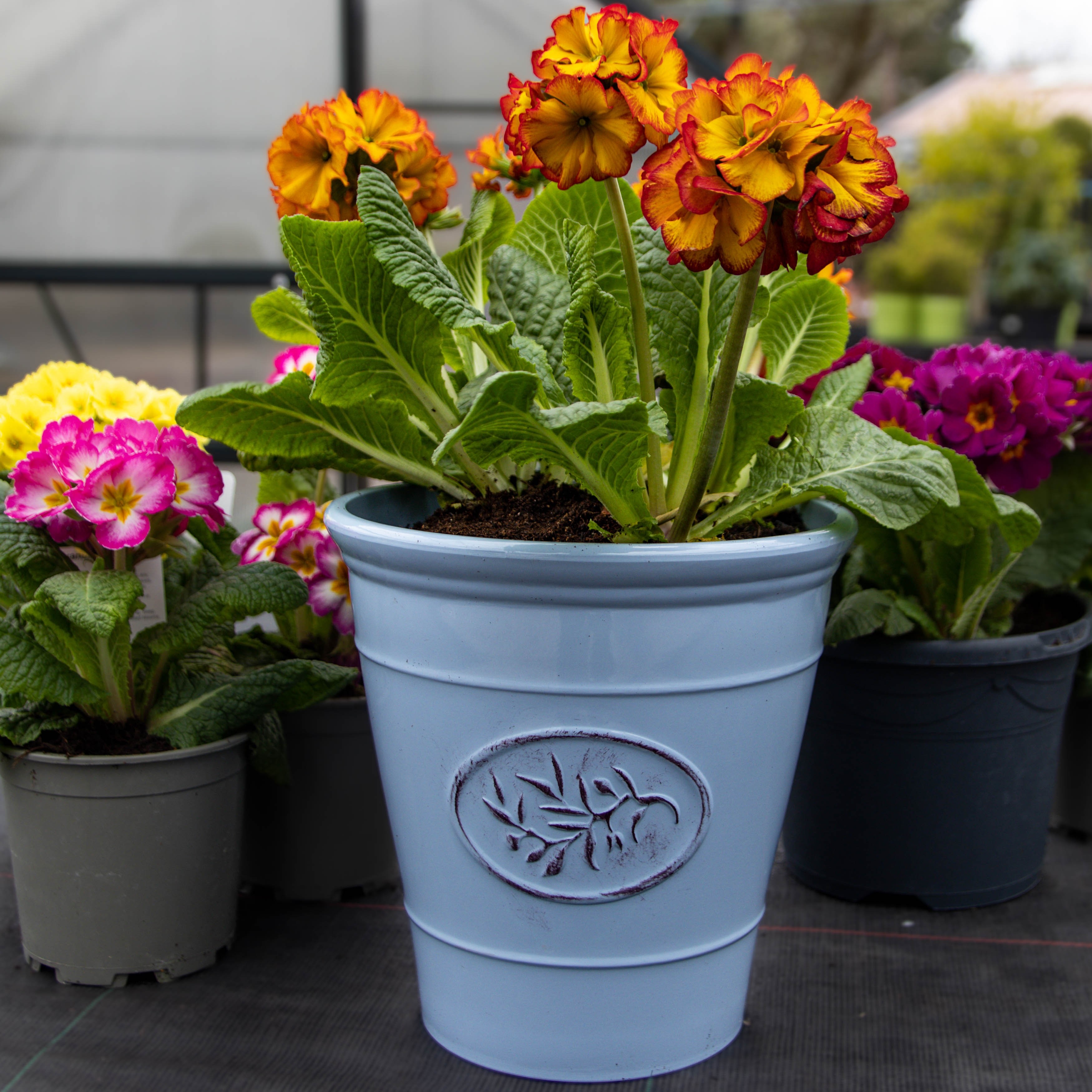 Blue Olive Planter - Medium (23cm)