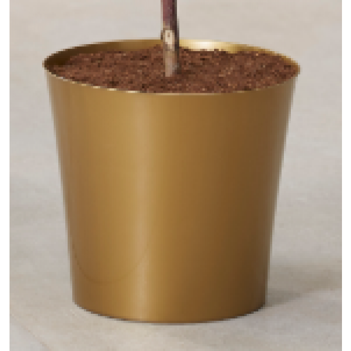 Gold Cover Pot - 20cm diameter