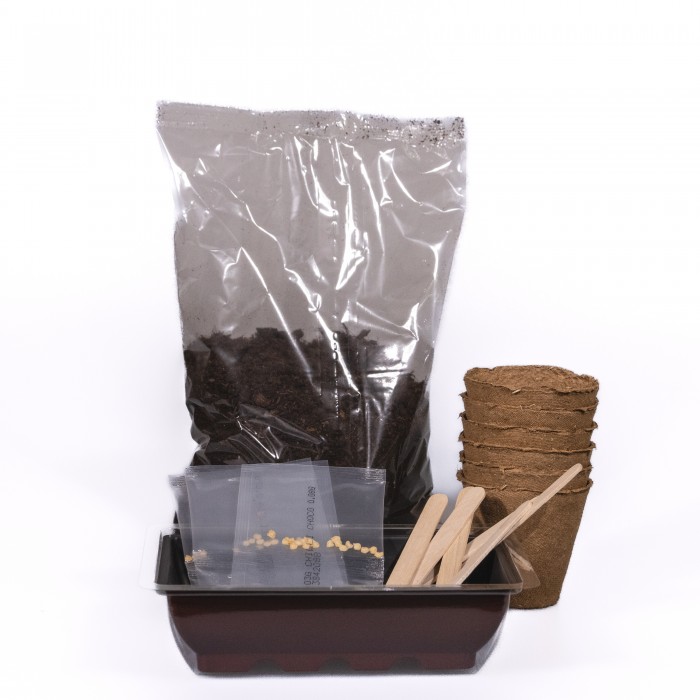 Red Hot Chilli Growing Kit - Selection of 6!