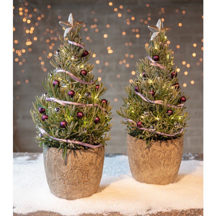 Pair of Lavender Christmas Trees