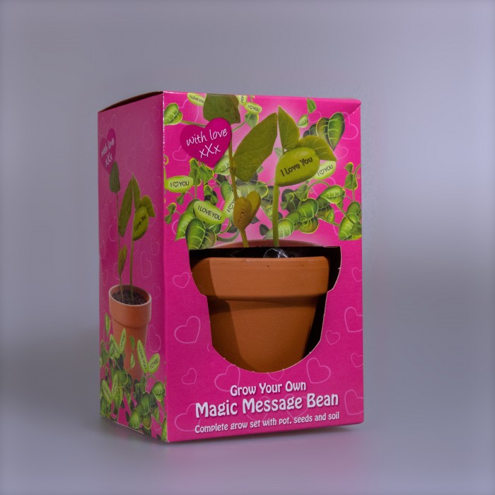 SPECIAL DEAL - Grow Your Own Magic Message Bean - Perfect Gift!