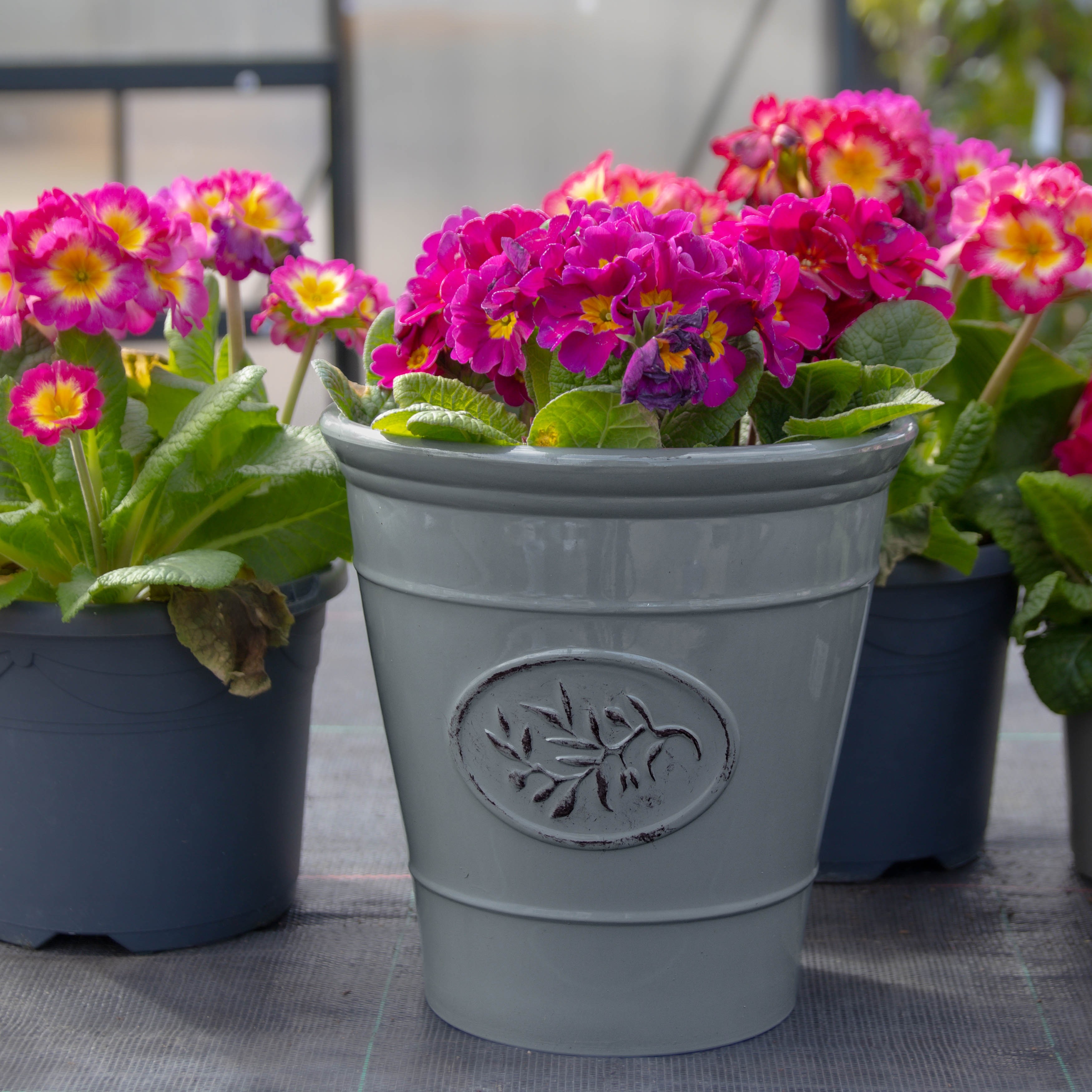 Grey Olive Planter - Medium (23cm)