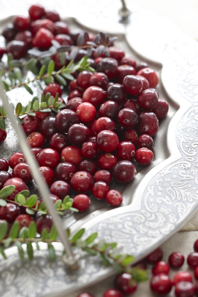 Vaccinium macrocarpon 'Early Black' - Cranberry