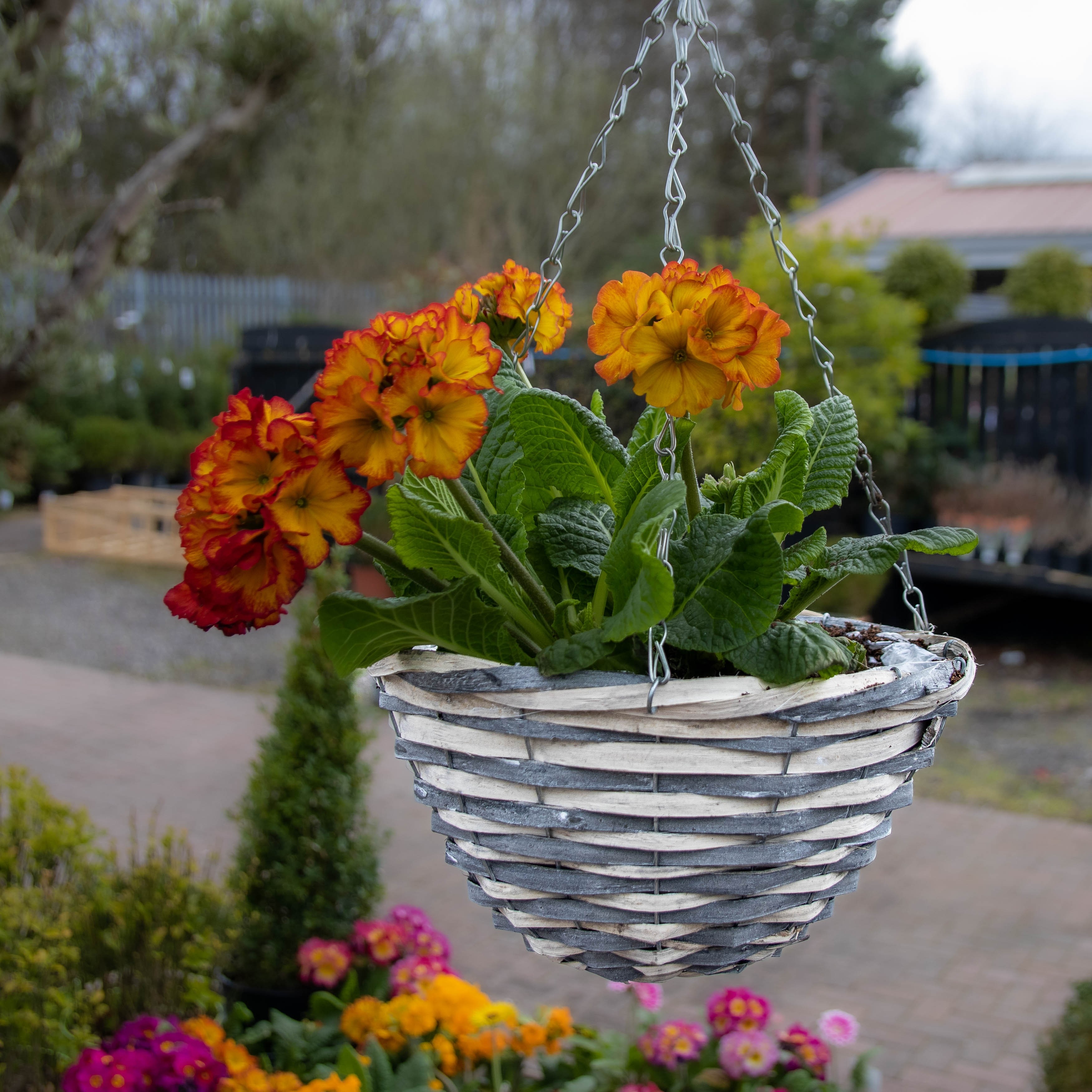 Hanging Basket - Premium Grey (30cm)