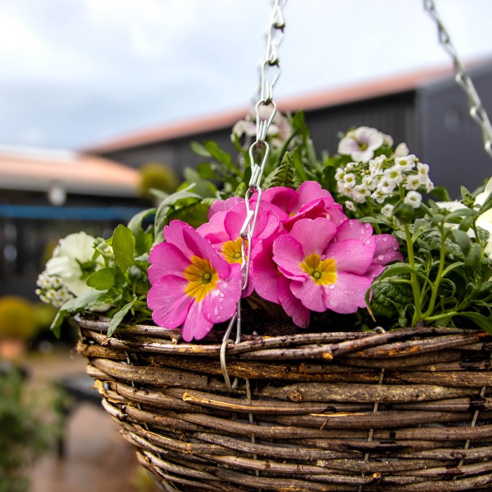 Brown Rattan Hanging Basket - Pack of Two - Large (35cm)