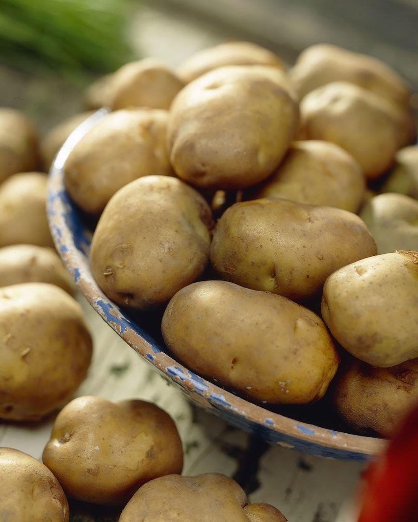 Wilja - 2nd Early Seed Potatoes - Pack of 10