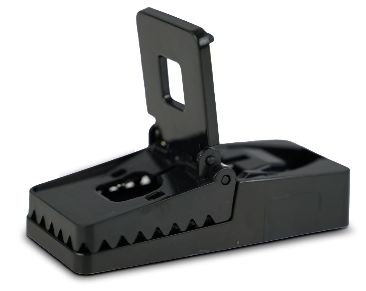 Raco Advanced Mouse Trap
