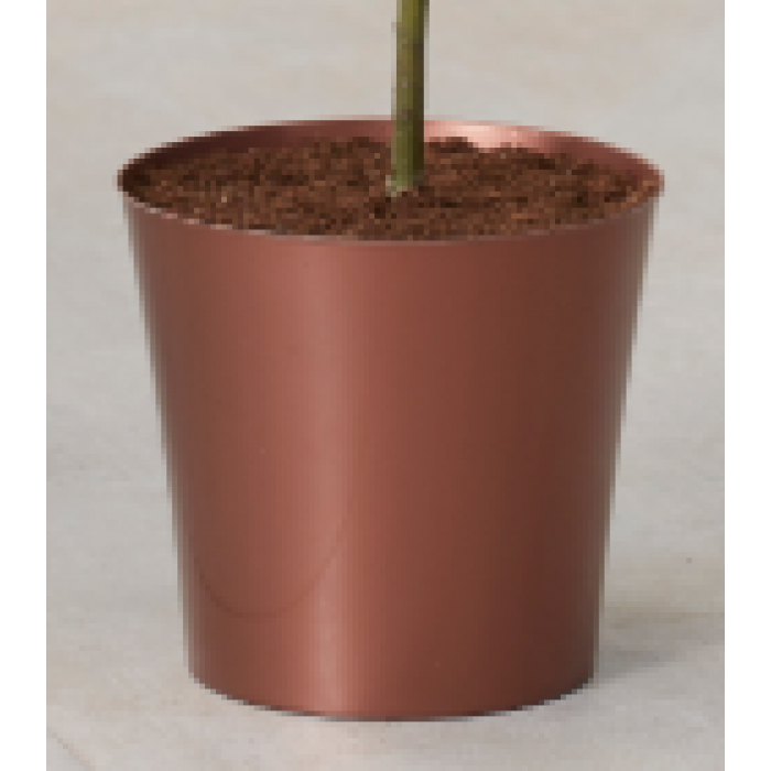 Copper Cover Pot - 20cm diameter