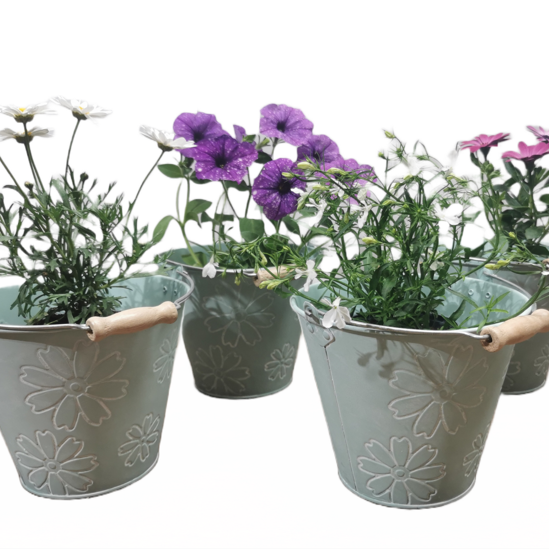 Pack Of Four - Whitewashed Tin Pail With Flower (17cm)