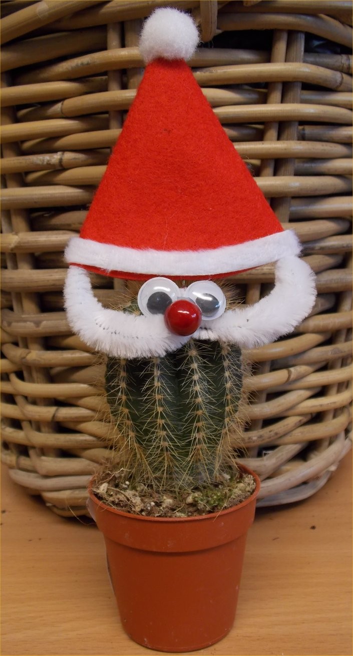 Santa Cactus