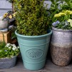 Green Olive Planter - Large (30cm)
