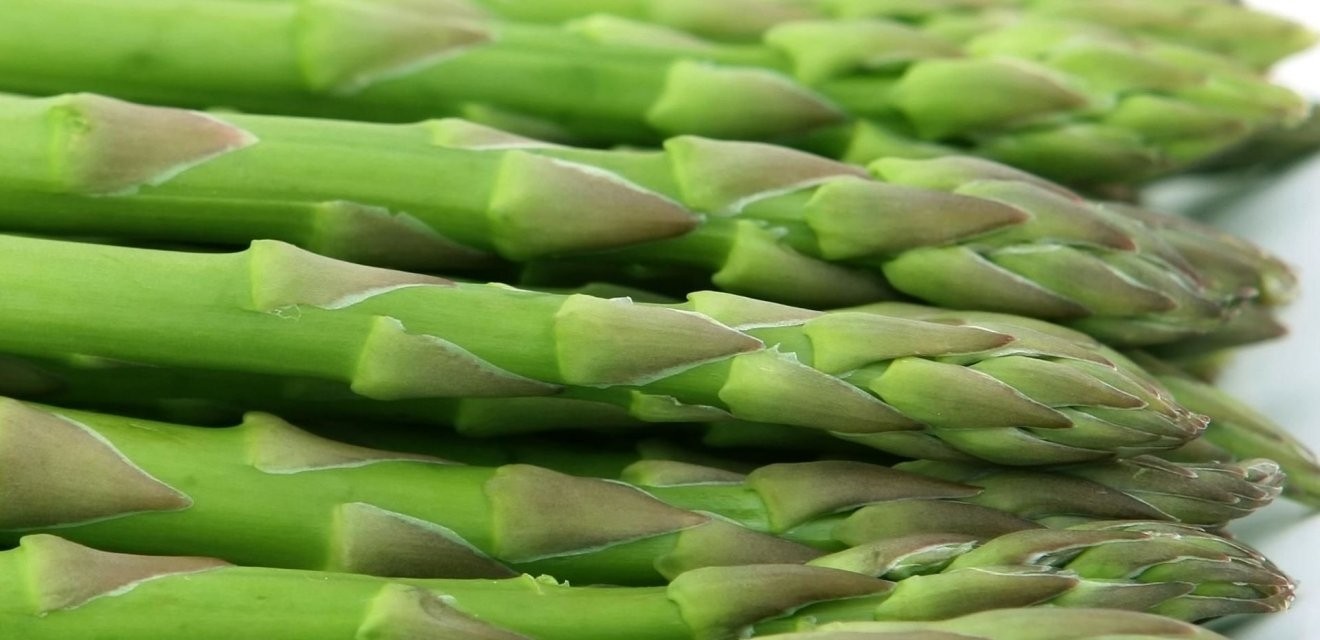 Asparagus Plant MEGA BUNDLE - 100 Assorted Plants