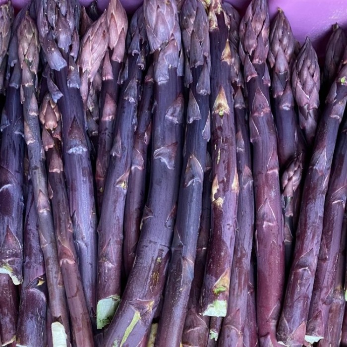 Asparagus - Pacific Purple