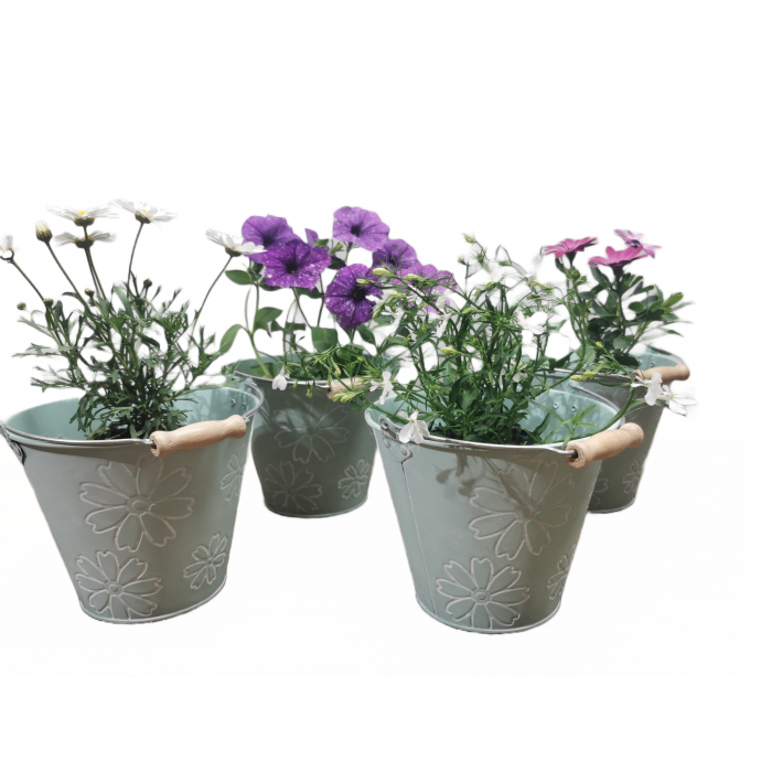 Pack Of Four - Whitewashed Tin Pail With Flower (17cm)
