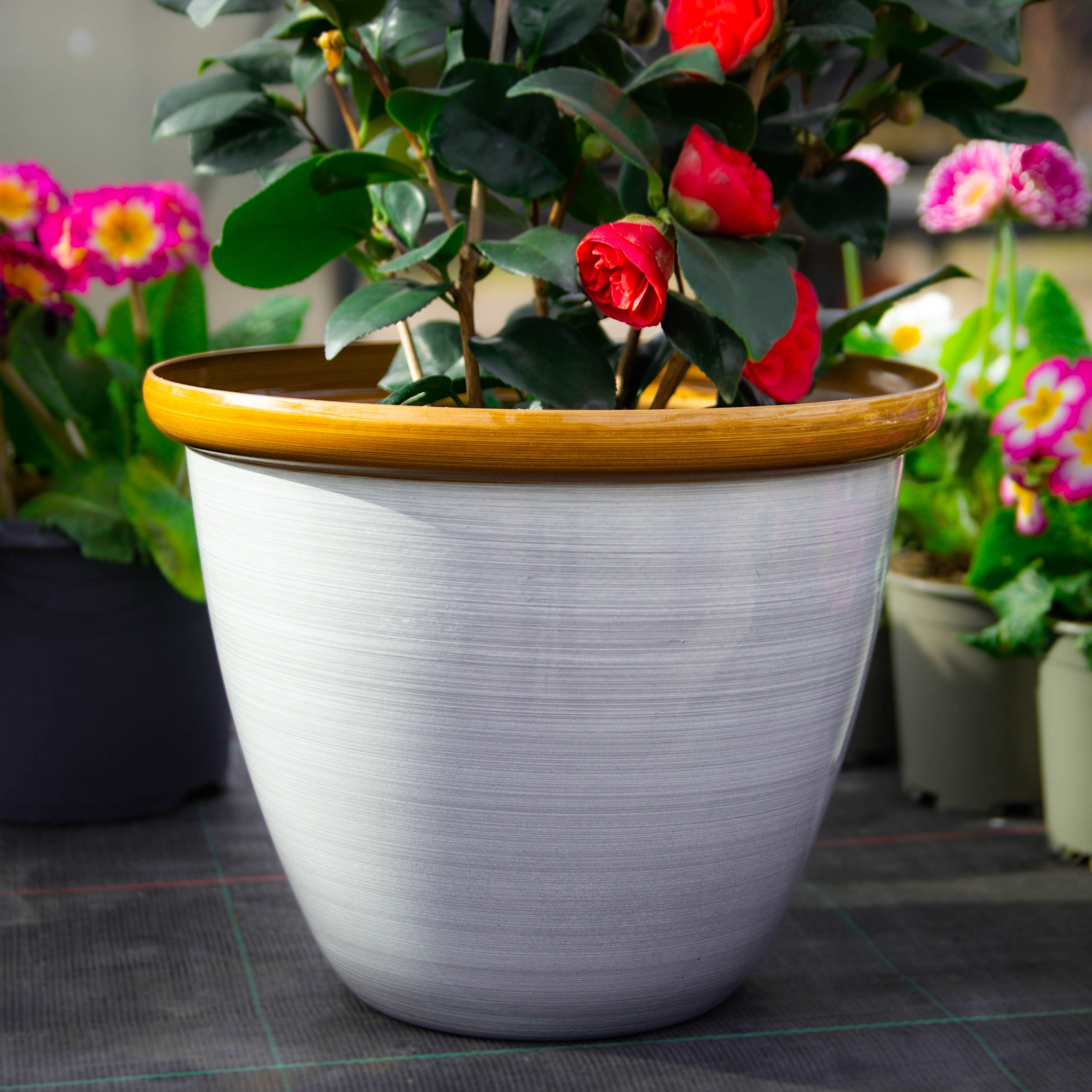 Honey Pot Planter - Medium (25cm)