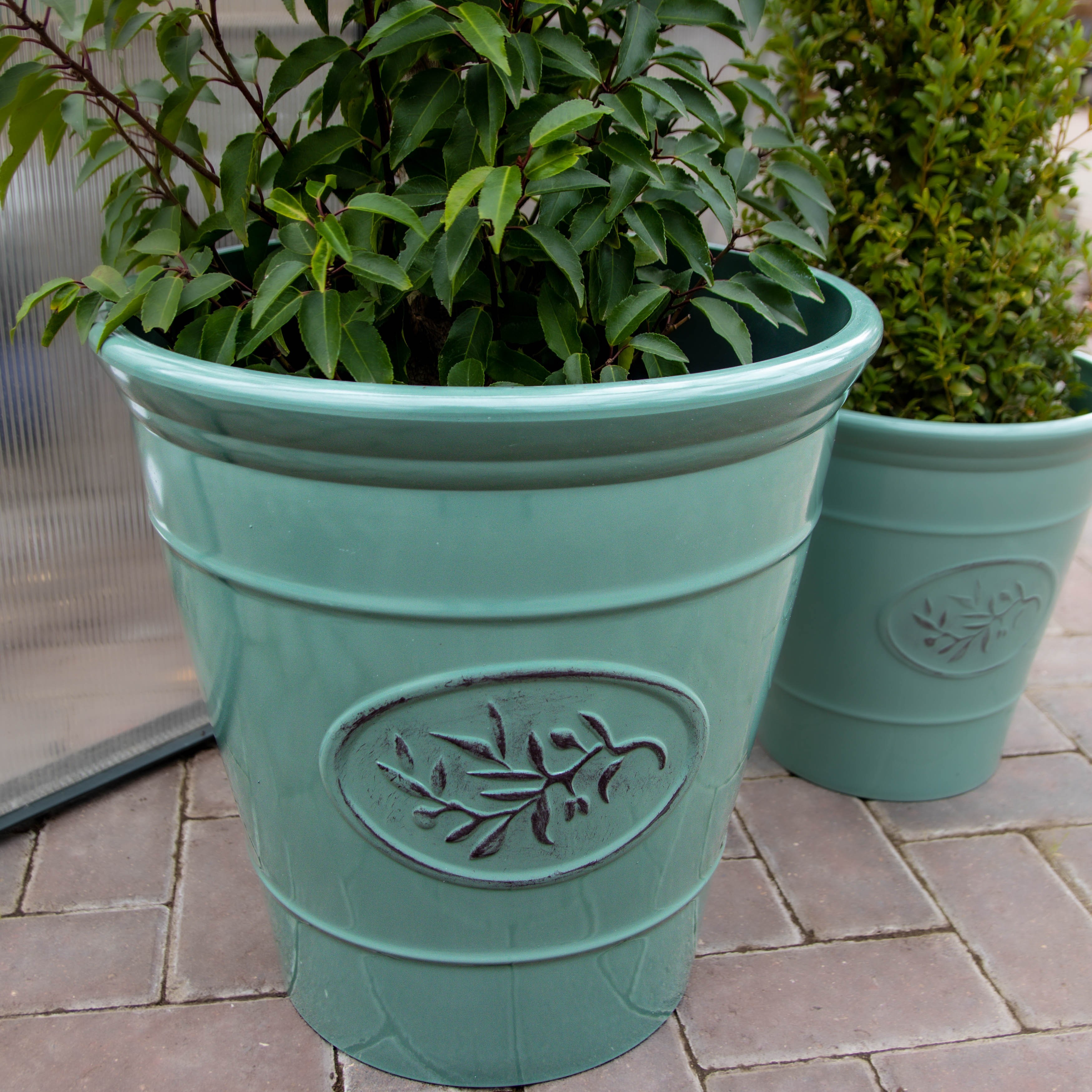 Green Olive Planter - Extra Large (40cm)