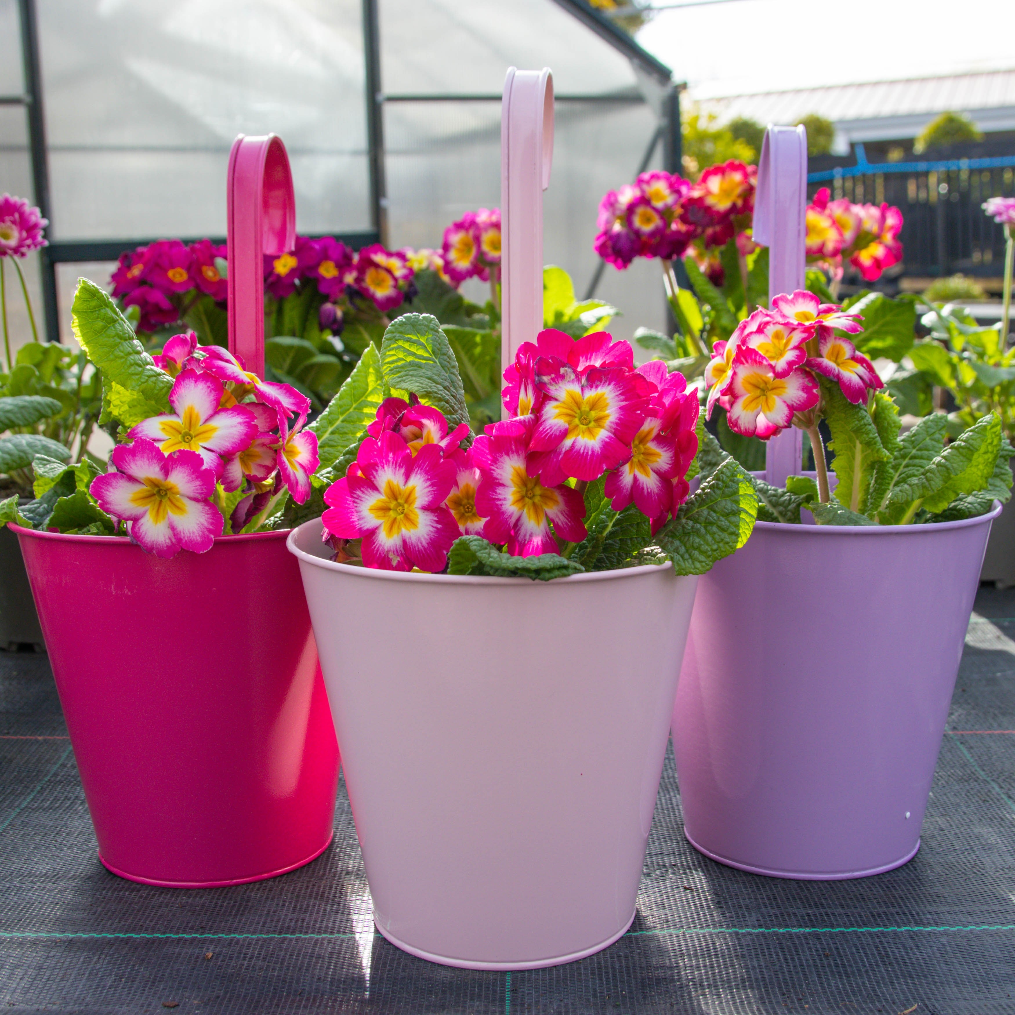 Hanging Pots - Pack of Three - Shades of Pink & Purple