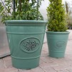 Green Olive Planter - Extra Large (40cm)