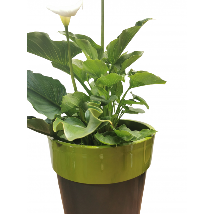 Glossy Apple Euro Planter - Extra Large (40cm)