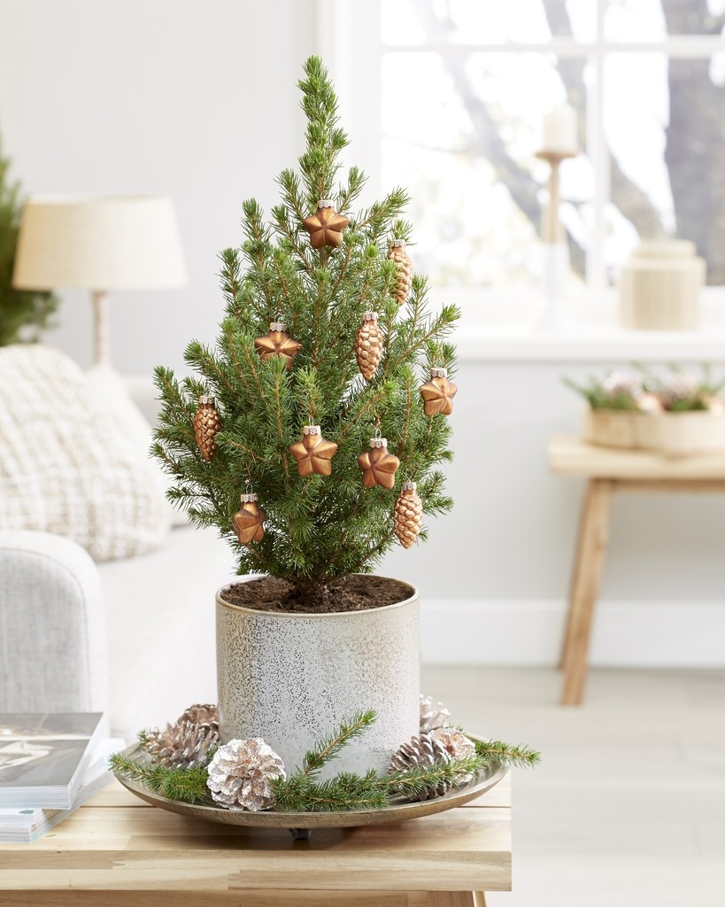 Mini Christmas Tree - Tabletop Christmas Tree - Classy Contemporary ...