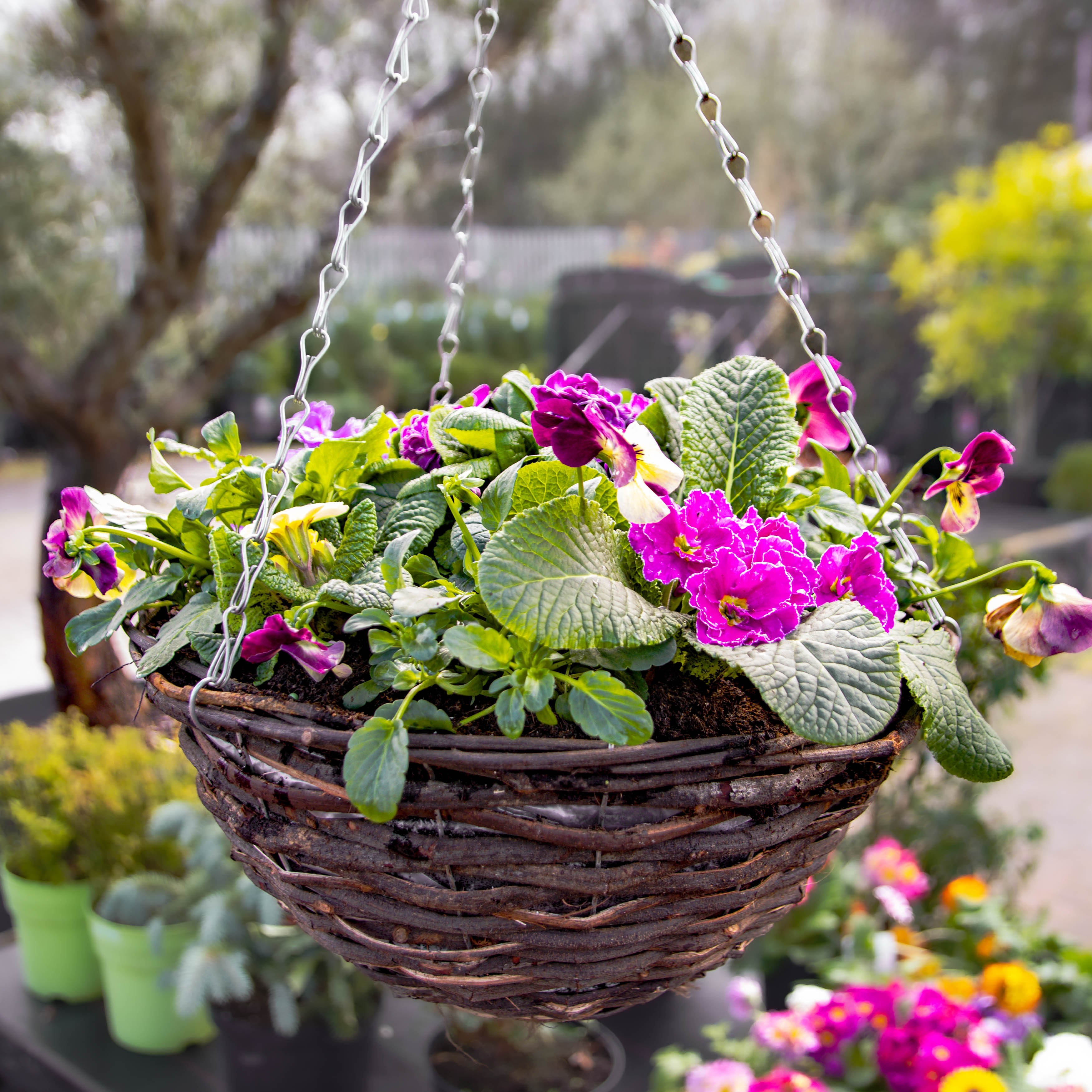 Brown Rattan Hanging Basket - Pack of Two - Large (35cm)