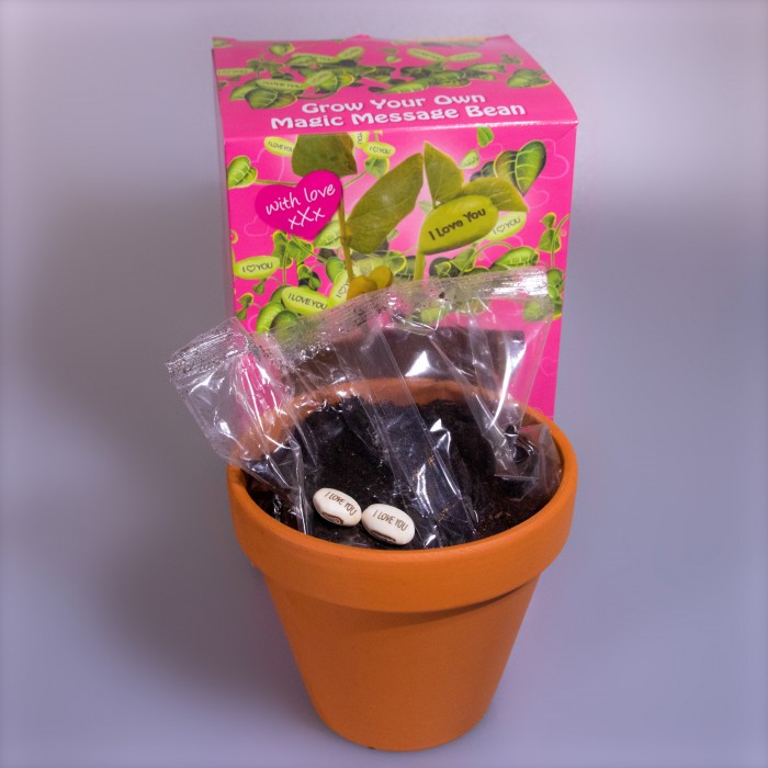 SPECIAL DEAL - Grow Your Own Magic Message Bean - Perfect Gift!