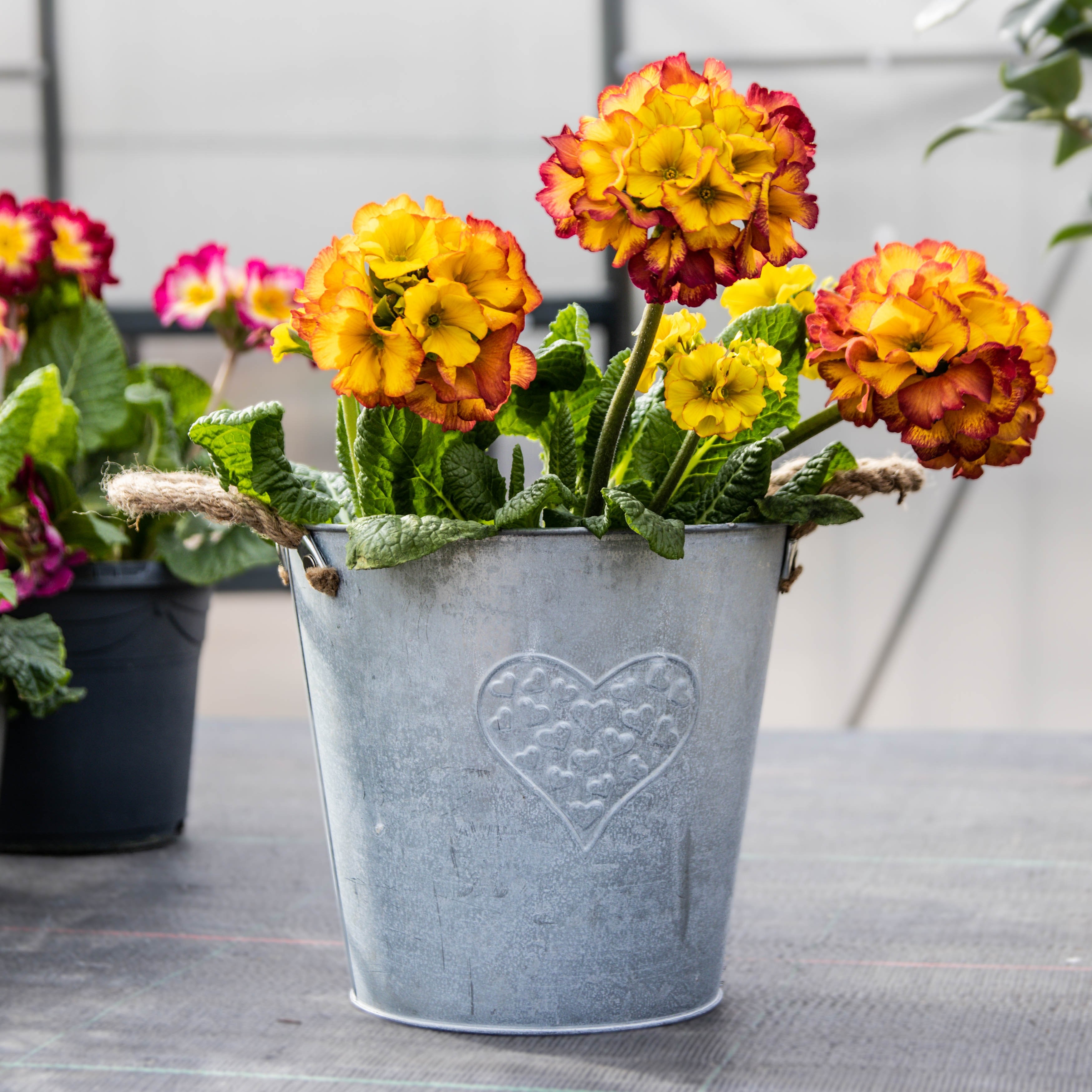 Heart Zinc Pot with Hessian Ears - Large (21cm)