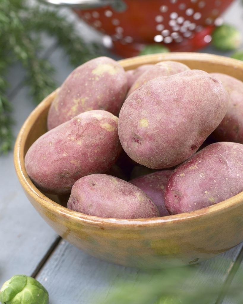 Kerrs Pink - Main Crop Seed Potatoes - Pack of 10